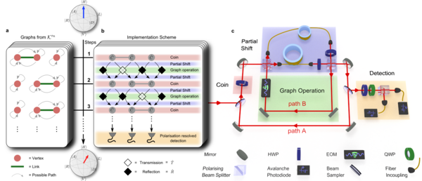 Quantum walks on percolation graphs - Integrated Quantum Optics | Paderborn University
