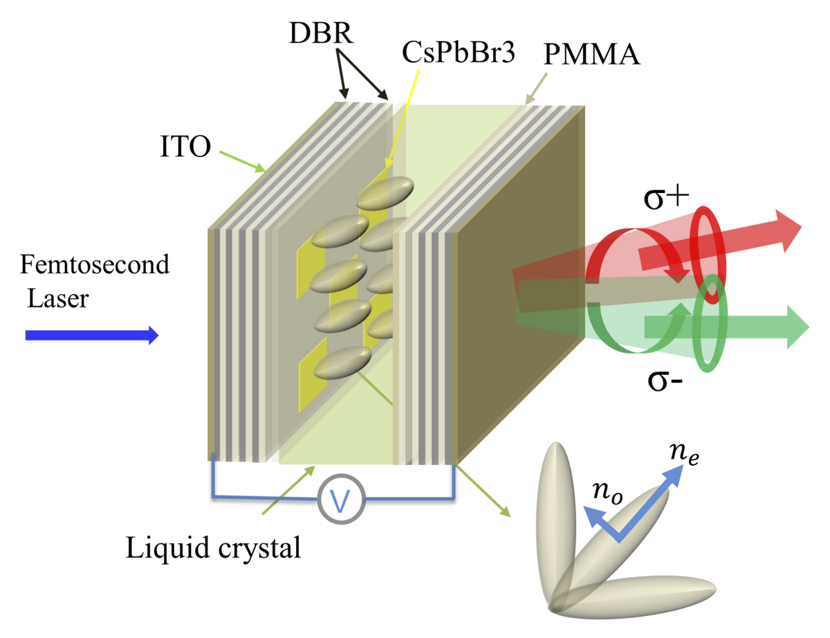 Publication Highlight | Theoretical Nonlinear Photonics