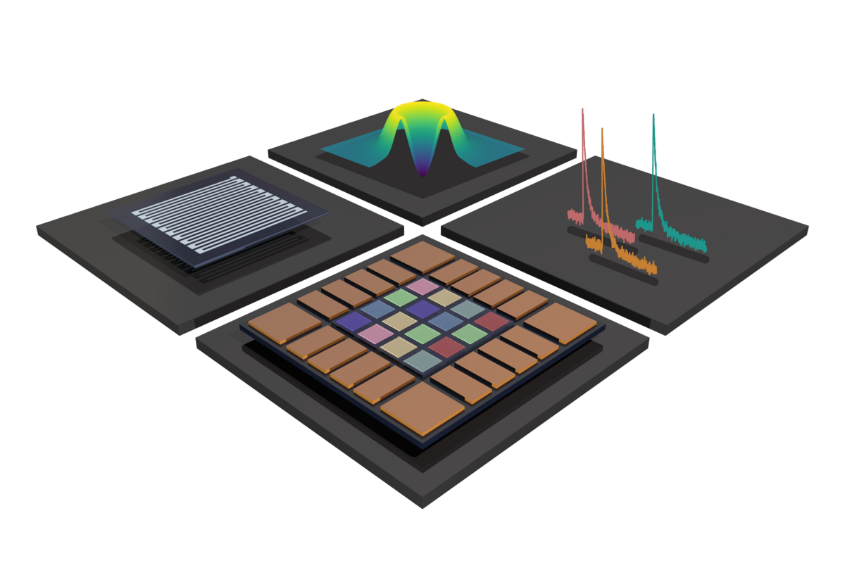 Jun.-Prof. Dr. Tim Bartley receives ERC Grant | Mesoscopic Quantum Optics